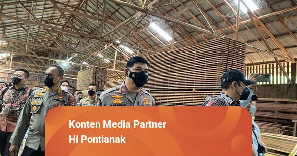 Bareskrim Ungkap Illegal Logging Di Kalbar Kayu Diekspor Hingga Eropa